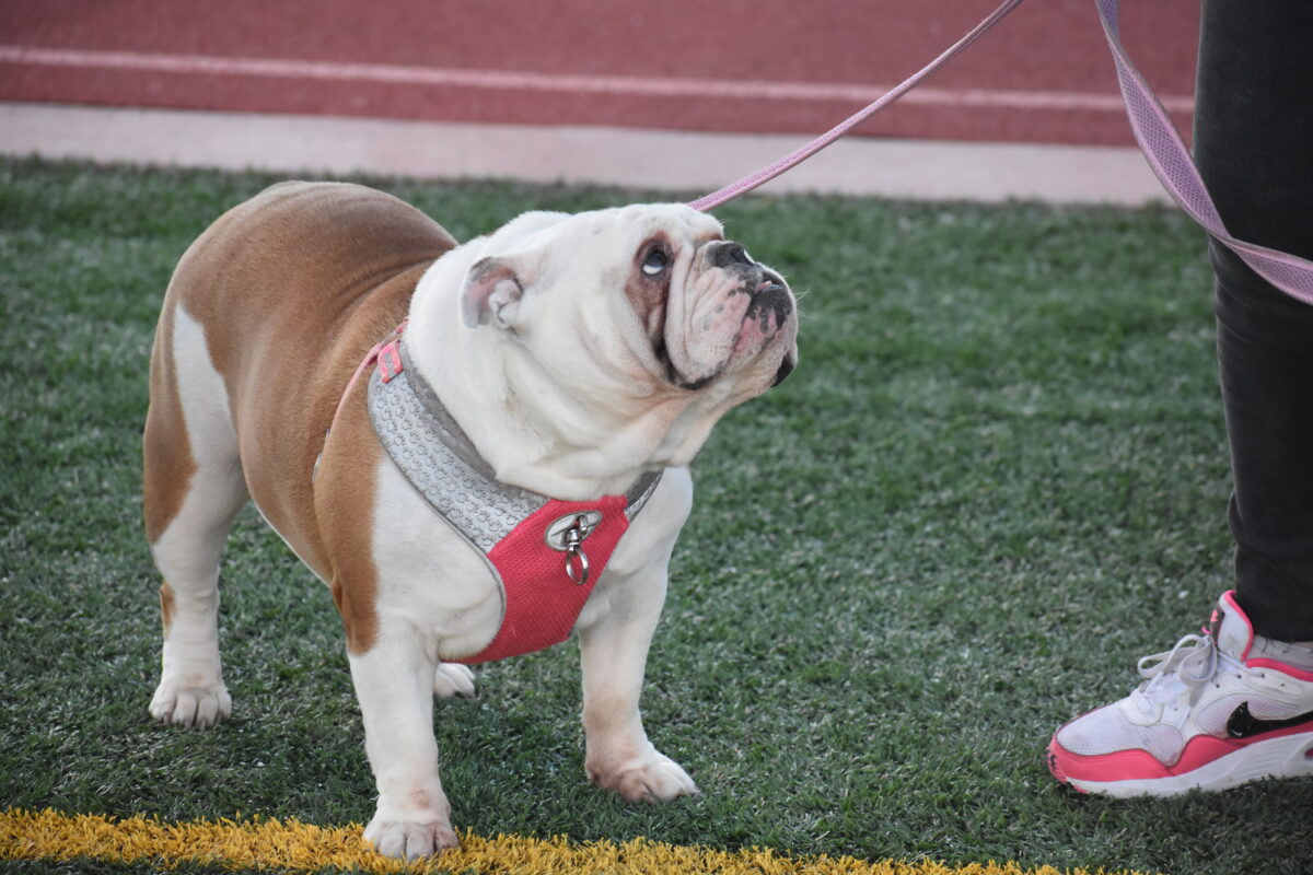 No. 21 Orem relies on big-play defense to stop No. 5 Provo | News ...